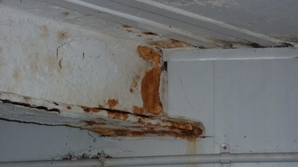 Individual defect inspection and report - JS Building Consultancy