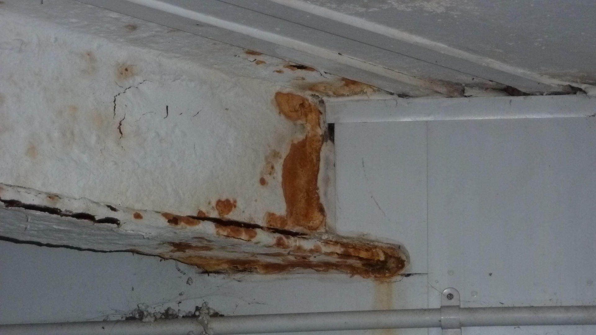 Individual defect inspection and report - JS Building Consultancy